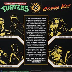 Teenage Mutant Ninja Turtles vs. Cobra Kai Mikey vs. Daniel LaRusso 2 Pack