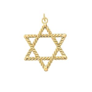 takar 10k solid gold star of david pendant in rope-style, jewish star charm, star of david pendant for men and women, elegant jewish religious gifts made in usa.