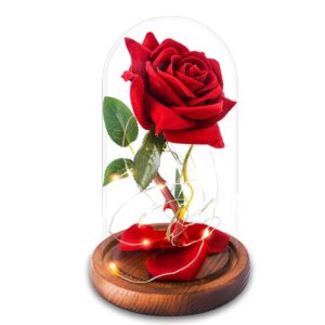 aggut beauty and the beast rose,forever rose,artificial flower gift romantic red silk rose,flower in glass dome women gifts for her,wife,mom,valentines,anniversary