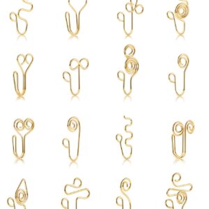 REVOLIA 16Pcs Stainless Steel African Nose Cuff Faux Nose Rings for Women Non Piercing Fake Nose Ring Set G