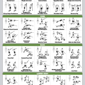 Palace Learning 3 Pack - Dumbbell Workouts + Barbell Exercises + Cable Machine Workouts - Set of 3 Workout Charts (LAMINATED, 18” x 24”)