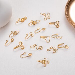 REVOLIA 16Pcs Stainless Steel African Nose Cuff Faux Nose Rings for Women Non Piercing Fake Nose Ring Set G