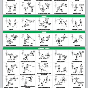 Palace Learning 3 Pack - Dumbbell Workouts + Barbell Exercises + Cable Machine Workouts - Set of 3 Workout Charts (LAMINATED, 18” x 24”)