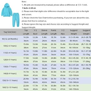 ZFTTZYMX Youth 2Pcs Brushed Fleece Sweatsuit Hooded Pullover Tracksuit Kids Boys Girls Sweatshirt + Pants Outfits Set