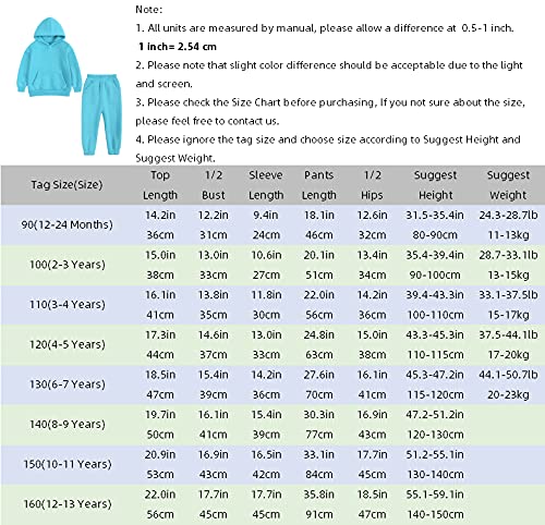 ZFTTZYMX Youth 2Pcs Brushed Fleece Sweatsuit Hooded Pullover Tracksuit Kids Boys Girls Sweatshirt + Pants Outfits Set