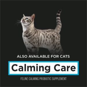 Purina Pro Plan Veterinary Supplements Calming Care - Calming Dog Supplements - 45 ct. Box