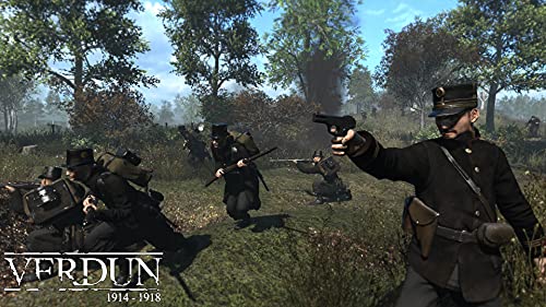 WWI Verdun Western Front PS5 Game