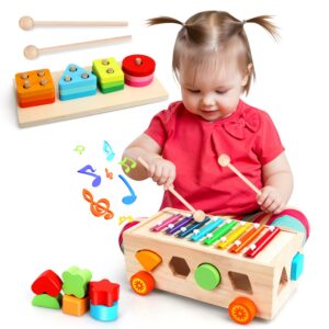 toy life 4 in 1 baby xylophone for toddlers wooden hammering pounding toy shape sorter for toddler baby toy 12-18 month sorting toy learning block sensory wood montessori toys for 1 year old gift