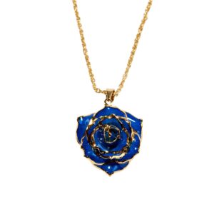 eternal necklace by eternal rose 24k gold dipped forever rose necklace - (blue velvet)