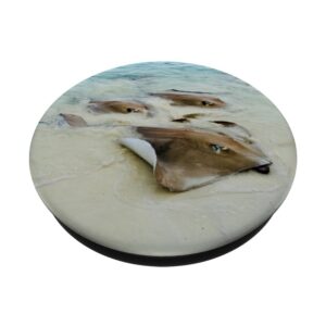 Stingray Fish PopSockets Standard PopGrip