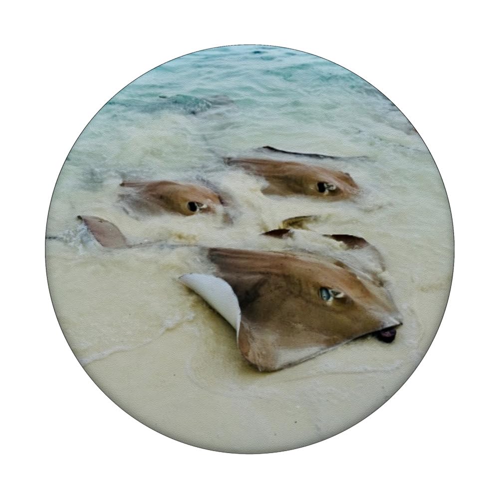 Stingray Fish PopSockets Standard PopGrip