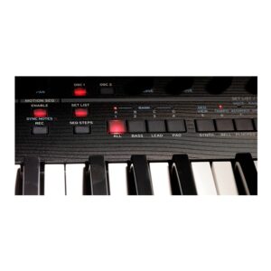 Korg Synthesizer (MODWAVE)