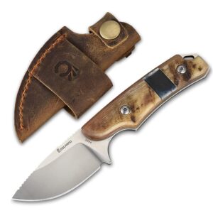 cool hand 5.98" knife with leather sheath, full tang compact horizontal carry knife, leather belt loop sheath with buckle, outdoors drop point 440c fixed blade, ram horn handle