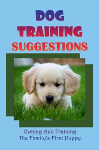 dog training suggestions: owning and training the family's first puppy: stop a dog from behaving badly