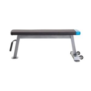 ProForm Carbon Strength Flat Bench