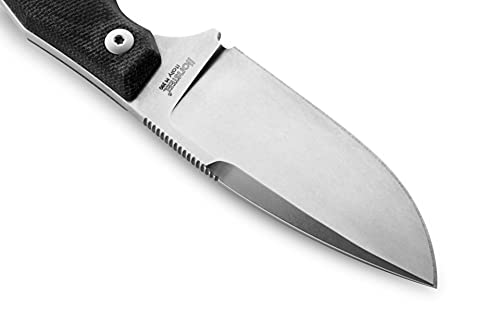 LionSTEEL H2 Karambit Style Fixed Blade EDC Hunting Hiking and Outdoor Knife, G10 and Micarta Handles, M390 Super Steel, Leather Sheath Included, Black G10