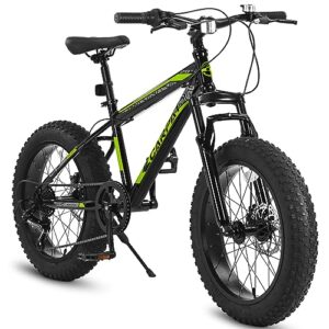 elecony ecarpat 20/24/26 inch fat tire mountain bike teenages boys girls 7/21 speed, front suspension disc brake bicycle, carbon steel frame mountain trail bike, beach bicycle