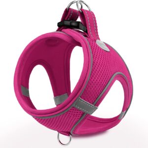 joytale small dog harness, breathable mesh step-in vest harness, reflective soft padded harnesses for small and medium dogs, hot pink, m