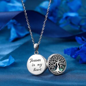 Aniu Tree of Life Locket Necklace for Women Wife , 925 Sterling Silver Abalone Seashell Inlaid Personalized Locket Oxidized Celtic Tree Pendant Jewelry, That Holds Pictures Photo Keep Someone Near to You