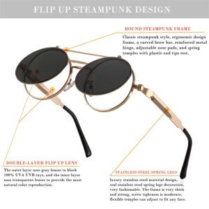 HJSTES Round Flip Up Sunglasses for Men Women Circle Rave Glasses 90's Vintage Steampunk Style(Gold/Grey)