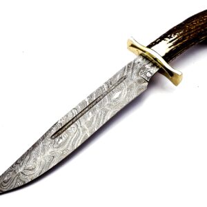 Skokie Knives Damascus Steel Bowie Knife Bull Horn Handle with & Brass Guard –16” Handmade Premium Quality Sharp Edge Fix Blade -Genuine Multipurpose Knife Ideal for Hunting, Camping (Stage B)