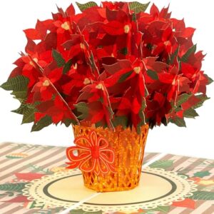 paper love 3d pop up christmas cards, poinsettias plant, 3d popup greeting cards, gift for christmas or holidays, 5" x 7" cover - includes envelope and note tag