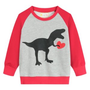 little hand toddler boys valentine's day clothes dinosaur sweatshirt pullover long sleeve shirts 3t