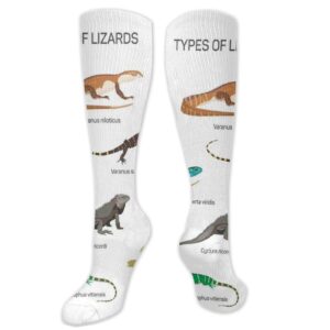 reptiles funny compression socks women and men,lizard family design primitive reptiles camouflage exotic creatures home design,best for circulation,running,athletic,nurse,travelmulti- 19.8 inch