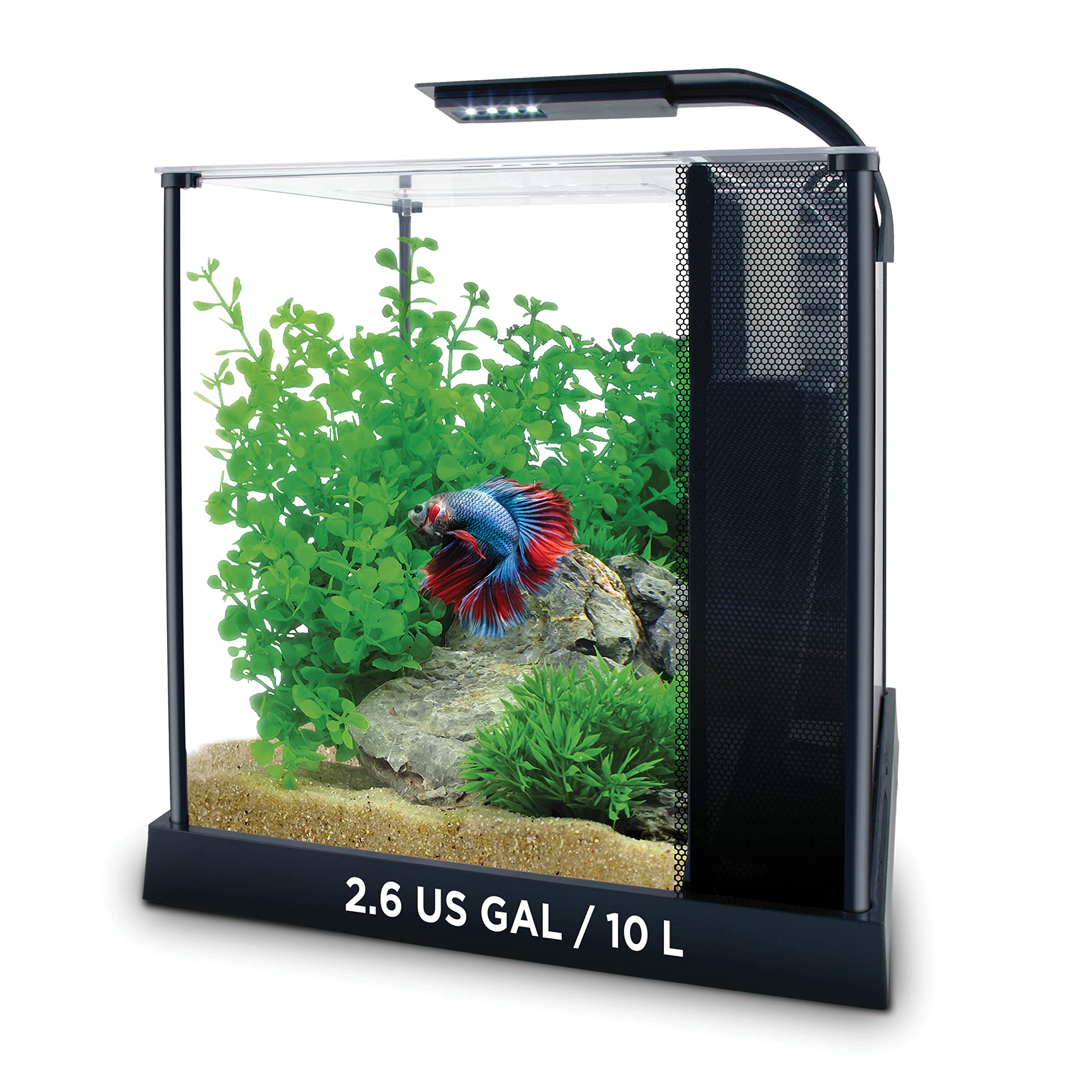 Fluval Betta Premium Aquarium Kit, 2.6 Gallon