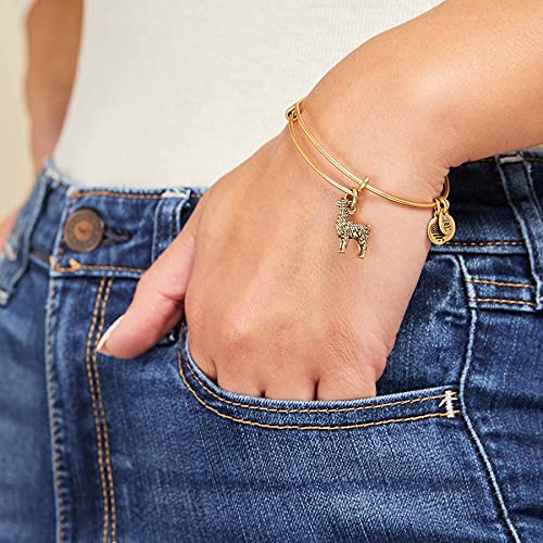 Alex and Ani Animal Guide Expandable Bangle for Women