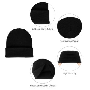 LCZTN 4 Pack Winter Ski Beanie Hat for Men＆Women,Warm Fisherman Cuffed Knit Cap Unisex (4 Pack Black)