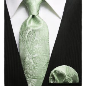 TaecMin Sage Tie Dusty Green Ties for Men Paisley Neckties and Pocket Squares Set for Weddings