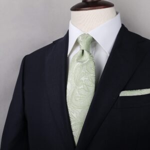 TaecMin Sage Tie Dusty Green Ties for Men Paisley Neckties and Pocket Squares Set for Weddings