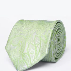 TaecMin Sage Tie Dusty Green Ties for Men Paisley Neckties and Pocket Squares Set for Weddings