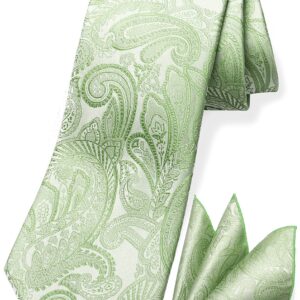 TaecMin Sage Tie Dusty Green Ties for Men Paisley Neckties and Pocket Squares Set for Weddings