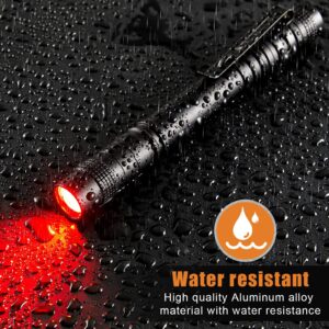 Tuanse 4 Pcs Red Light Flashlight Red LED Flashlight Red Light Pen Light Flashlight Super Bright Red Flashlight Red Torch for Astronomy, Aviation, Night Observation and More