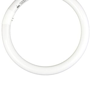 CHKADAWA FC12T9/CW 32W Cool White Round Fluorescent Light Bulb, 12 Inch T9 32 Watts Circular Bulbs, 12'' FCL 32 Circline Bulb 4100K 841, G10q 4 Pin Prong Base, 2 Pack