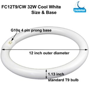 CHKADAWA FC12T9/CW 32W Cool White Round Fluorescent Light Bulb, 12 Inch T9 32 Watts Circular Bulbs, 12'' FCL 32 Circline Bulb 4100K 841, G10q 4 Pin Prong Base, 2 Pack