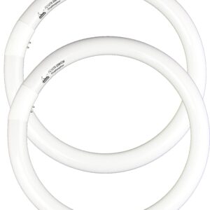 CHKADAWA FC12T9/CW 32W Cool White Round Fluorescent Light Bulb, 12 Inch T9 32 Watts Circular Bulbs, 12'' FCL 32 Circline Bulb 4100K 841, G10q 4 Pin Prong Base, 2 Pack