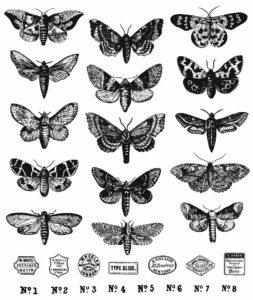 stampers anonymous - stampers anon moth study cling rbbr stamp set