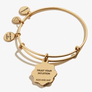 Alex and Ani Token of Wisdom Charm Bangle Bracelet - Rafaelian Gold Finish - 2 to 3.5 in