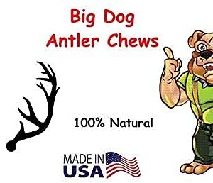 Big Dog Antler Chews 6 Pack for Small Dogs | All Natural Organic Deer and Elk Antler Dog Chews | 0 to 20 Pounds