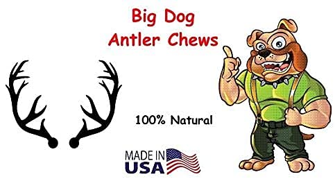 Big Dog Antler Chews 6 Pack for Small Dogs | All Natural Organic Deer and Elk Antler Dog Chews | 0 to 20 Pounds