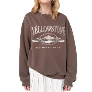 kosusanill women graphic crewneck sweatshirt y2k e girl aesthetic vintage printed 90s streetwear casual long sleeve going out tops pullover (brown letter, large)