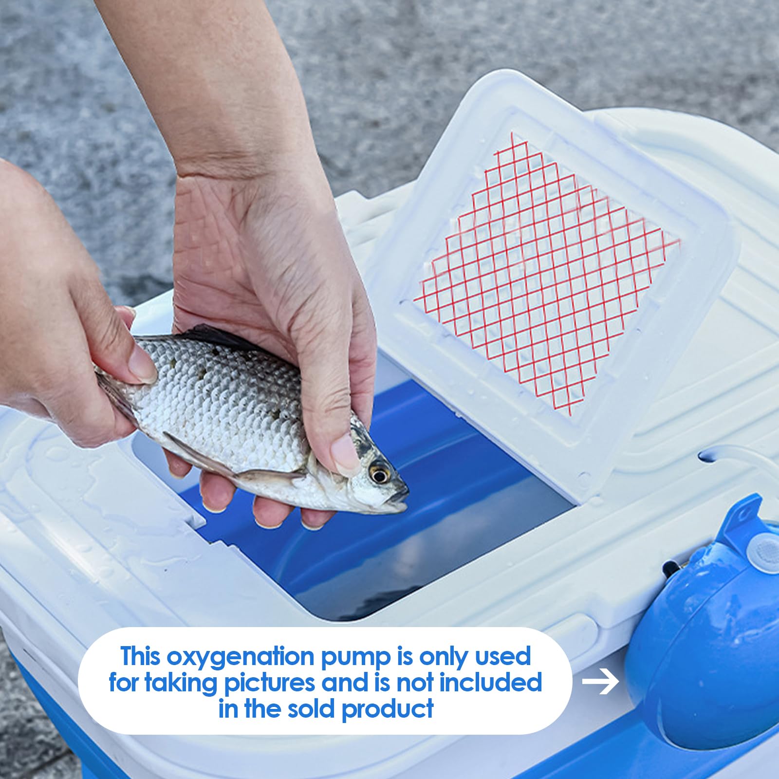 13L Fishing Bucket with Mini Oxygen Pump,Portable Folding Collapsible Minnow Bucket Fish Live Container Box with Breathable Mesh Space Saving Outdoor Traveling Hiking Fishing