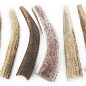 Big Dog Antler Chews 6 Pack for Small Dogs | All Natural Organic Deer and Elk Antler Dog Chews | 0 to 20 Pounds