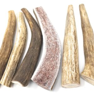 Big Dog Antler Chews 6 Pack for Small Dogs | All Natural Organic Deer and Elk Antler Dog Chews | 0 to 20 Pounds