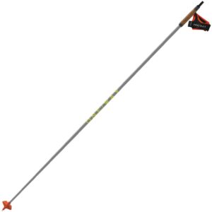 fischer skiing lightweight high-performance storm 6 race ghost grey nordic poles, 145 cm