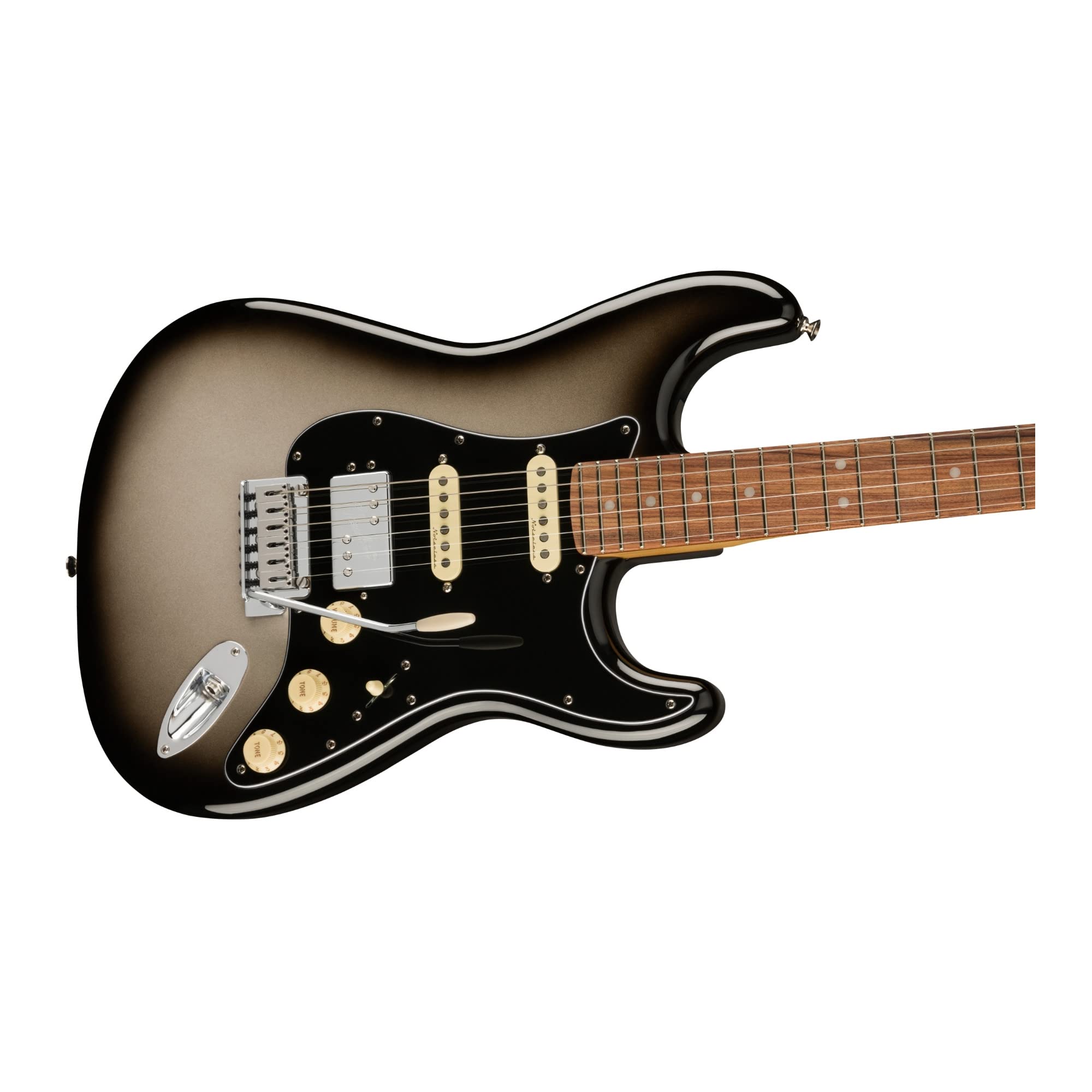 Fender Player Plus Stratocaster Electric Guitar, with 2-Year Warranty, Silverburst, Pau Ferro Fingerboard