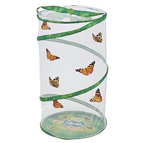 Insect Lore Butterfly Pavilion Habitat | 2 Foot Tall Clear Mesh | Pops Up Folds Flat | Zipper Top | for All Insects